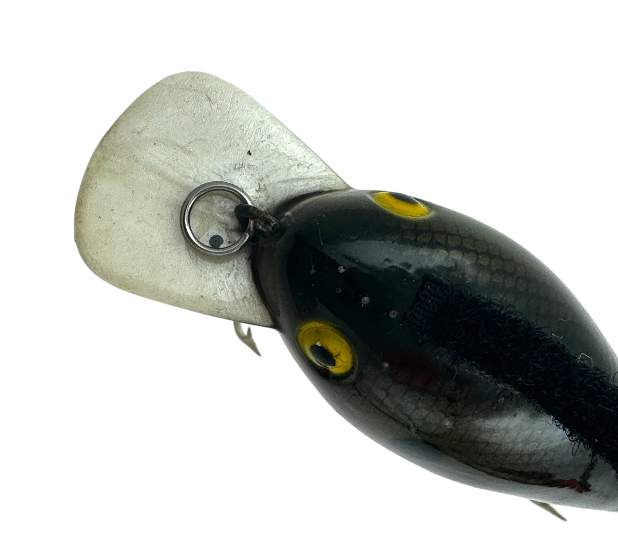 GRIP LIP • CORDELL 7800 BIG-O Fishing Lure • ARKANSAS SHAD – Toad Tackle